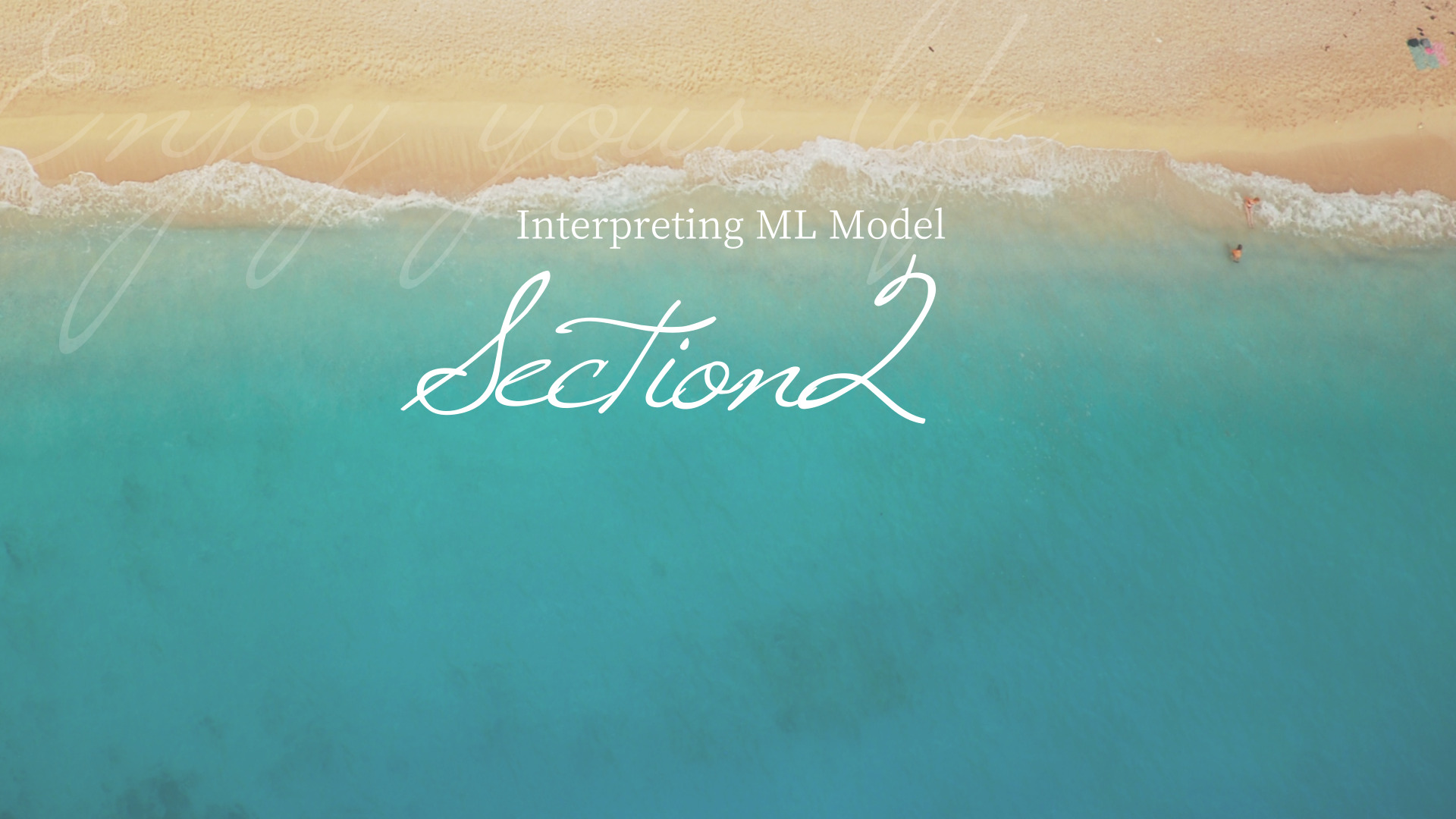 Interpreting ML Model